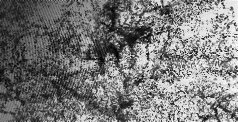 Abstract Monochrome Halftone Pattern Soft Dynamic Lines Stock Vector Illustration Of Design