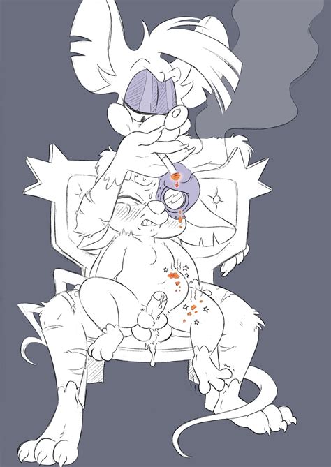 Post 6967804 Animaniacs Brain Brainsister Pinky Pinky And The Brain