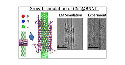 Molecular Dynamics Of Catalyst Free Edge Elongation Of Boron Nitride
