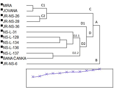 Upgma Dendrogram Based On Rapd Data Of The Tested Varieties Download Scientific Diagram