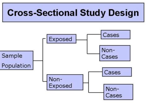 Epi Lecture 6 Flashcards Quizlet
