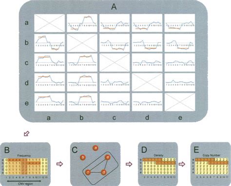 Overview Of Copy Number Inference A Pairwise Comparisons Of Five