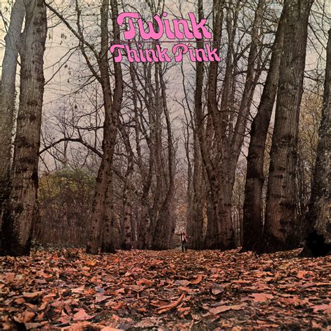 Twink Think Pink Julian Cope Presents Head Heritage