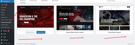 Importing Demo Content WordPress Themes Plugin
