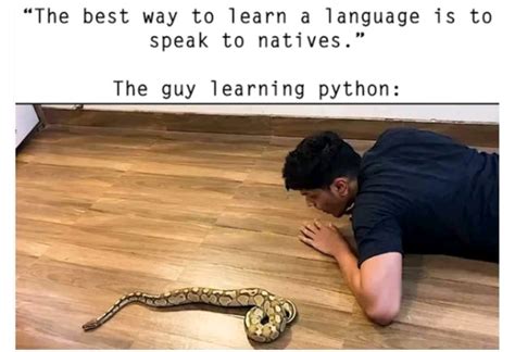 Do You Speak Python Rprogrammerhumor
