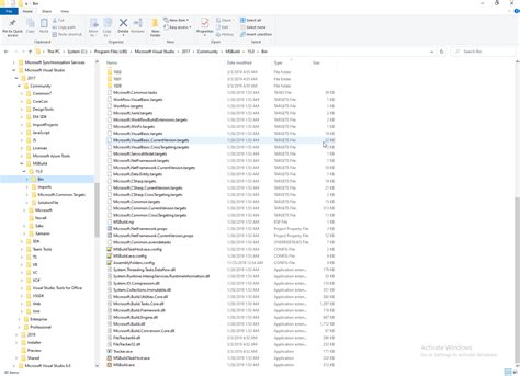 Viacheslav Eremin Windows Installers VS Installer Wix MakeMsi InnoSetup Nsis