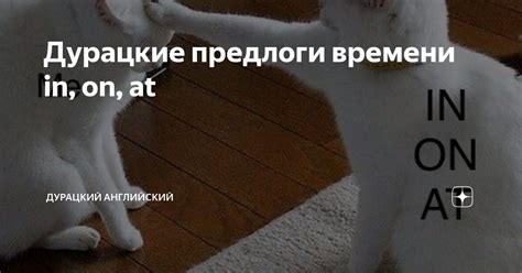 Дурацкие предлоги времени In On At Дурацкий английский Дзен