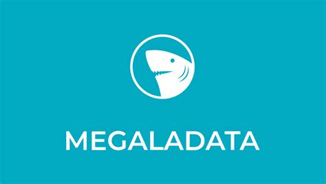 Megaladata Brand Assets Megaladata
