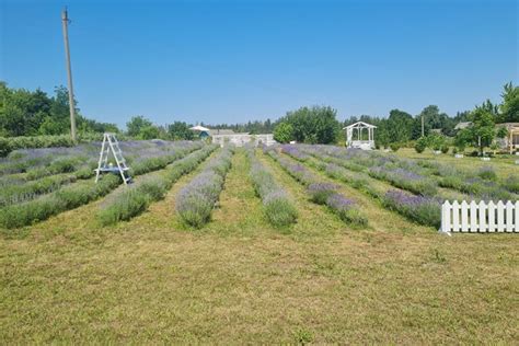 Поліція викрила масштабну схему фальсифікації пестицидів на 100 мільйонів гривень Агронавт