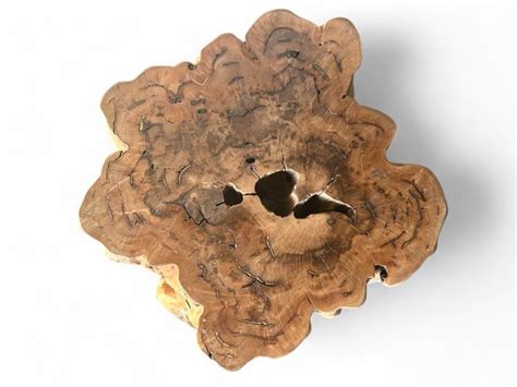 Wood Log Table Andorra