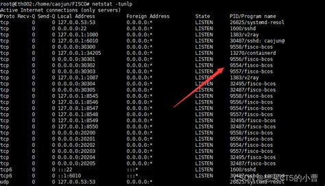 解决ubuntu出现的std exception what bind Address already in use问题 FISCO BCOS区块链节点启动地址占用问题 what