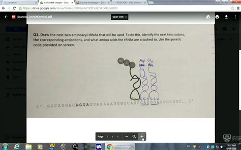 Chunking Your Class Lessons We Learnt From Observing Other Lecturers Teaching Sydney