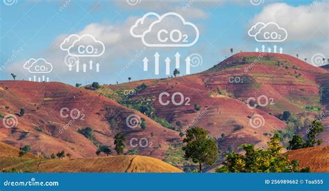 Deforestation Are The Anthropogenic Source Of Atmospheric Carbon Dioxide Emissions Cause Of