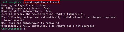 How To Install Curl On Linux Vsepocket