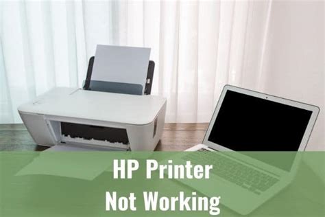Hp Printer Not Working Ready To Diy