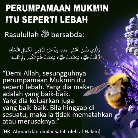 Blog Dr. Faizal Risdianto: Perumpamaan seorang Mukmin itu seperti Lebah
