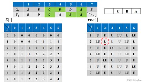 【算法（四·三）：动态规划思想——最长公共子序列问题】 Csdn博客