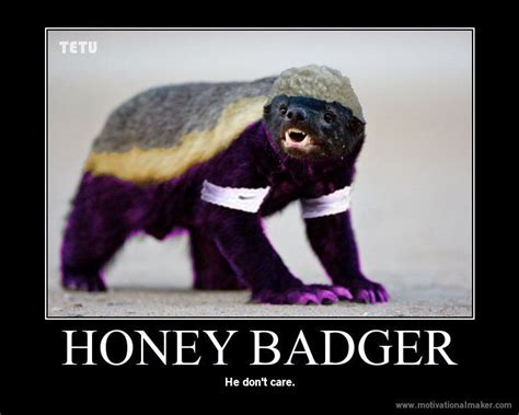 Honey Badger Dont Care Honey Badger Honey Badger Meme Badger