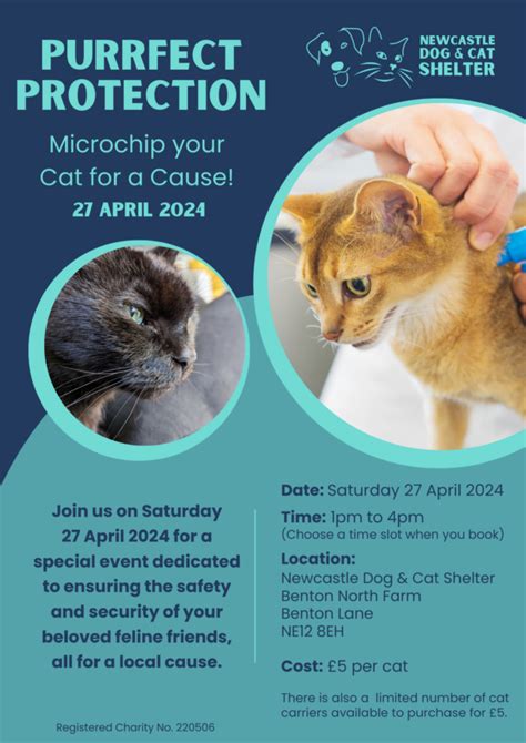 Microchip Cat Newcastle Dog And Cat Shelter