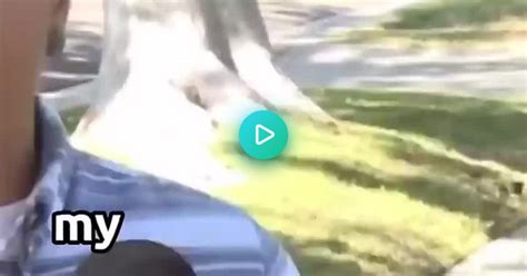 Dude Insulting Pokémon Triggers Snowflake Album On Imgur