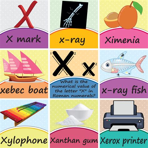 Alphabet Letter Xx Word Poster Flashcards Printable Classroom Decor For Preschool Kindergarten