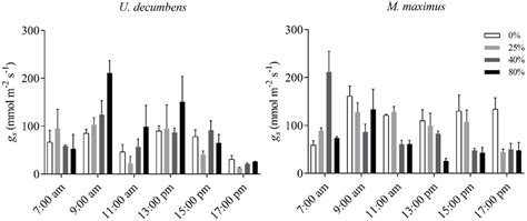 Stomatal Conductance Gs Obtained During Different Times Of The Day In
