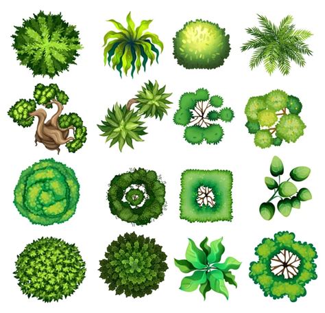 Trees Top View Vector