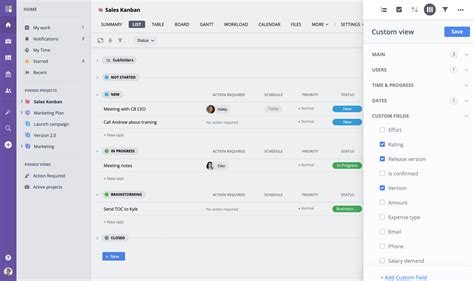 custom fields goodday help