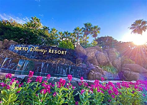 【夏のディズニー】シーとランドどっちに行くべき？より夏を楽しめるのは？おすすめ夏プログラム紹介 Tdrハック