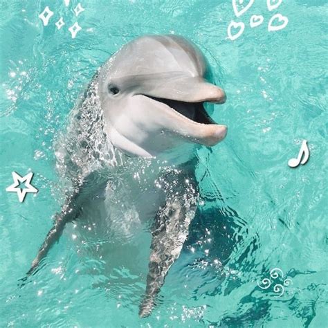 Aquacore Girl Youtube