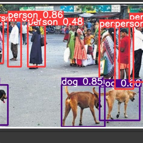 output showing pedestrian crossing and detection by the developed