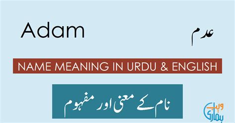 Adam Name Meaning - Adam Origin, Popularity & History