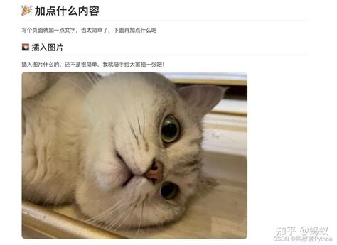 如何写前端？python教你有手行 知乎