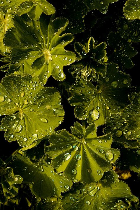 52frames Weekly Photo Challenge Project