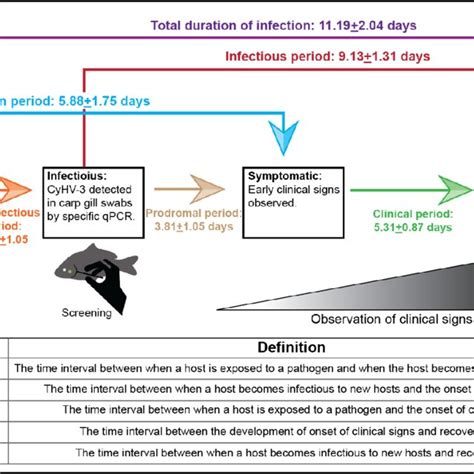 Trial 1 Schematic And Disease Periods Average Values Standard