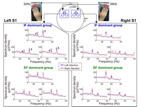 Figure 1 From Individual Optimal Attentional Strategy In Motor Learning