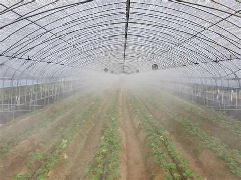 안개분무 ㈜동서그린