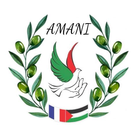 Association Amani France — Association Amani