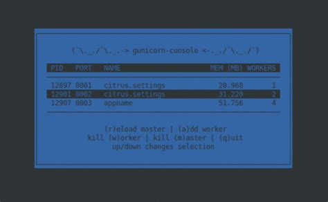 Gunicorn Console · Pypi