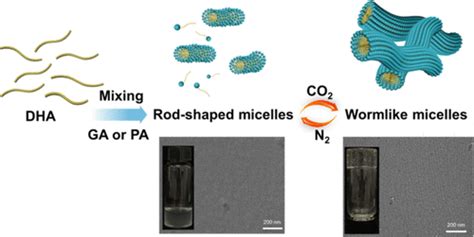 Edible Co2 Responsive Wormlike Micelles With Docosahexaenoic Acid Langmuir