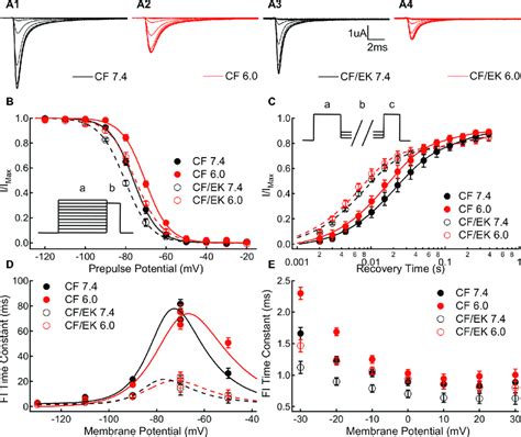 E1784k Shifts Thevoltage Dependence Of Fast Inactivation To More Download Scientific Diagram