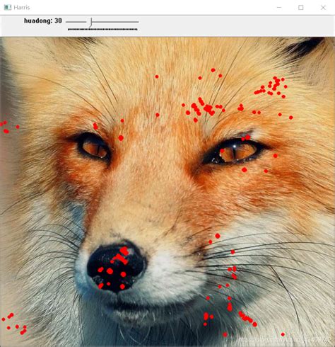 Opencv实现自定义角点检测器（基于harris与shi Tomasi）cvcornereigenvalsandvecs Csdn博客