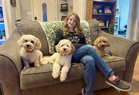 7 Sisters Cockapoos Added A New Photo 7 Sisters Cockapoos