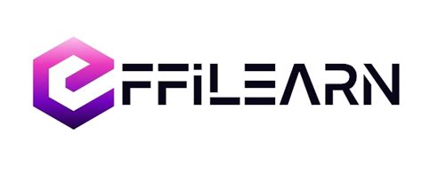 Effilearn Full Stack Web Development Python Mastery App