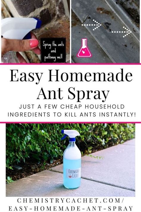 Best 13 Diy Ant Spray Artofit