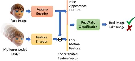 deepfake detection with two stream network download scientific diagram