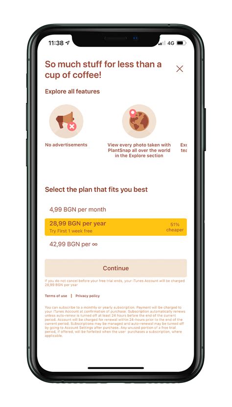 monetisation through in app purchases