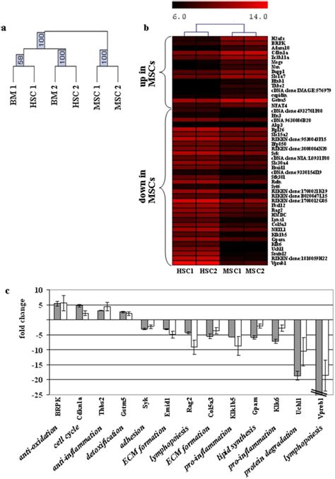 A Bootstrap Hierarchical Clustering Of All 20k Genes Depicted Highly