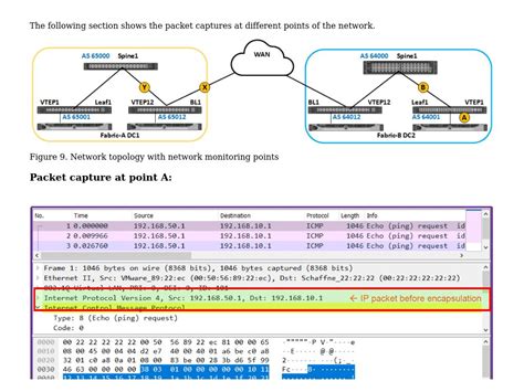 packet capture on fabric b and fabric a evpn vxlan based multisite