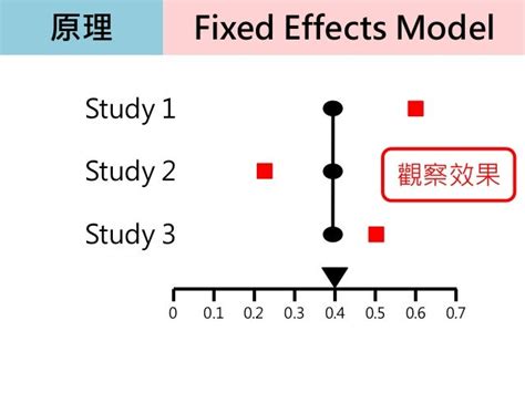 實證醫學基本概念：fixed effects model and random effects model